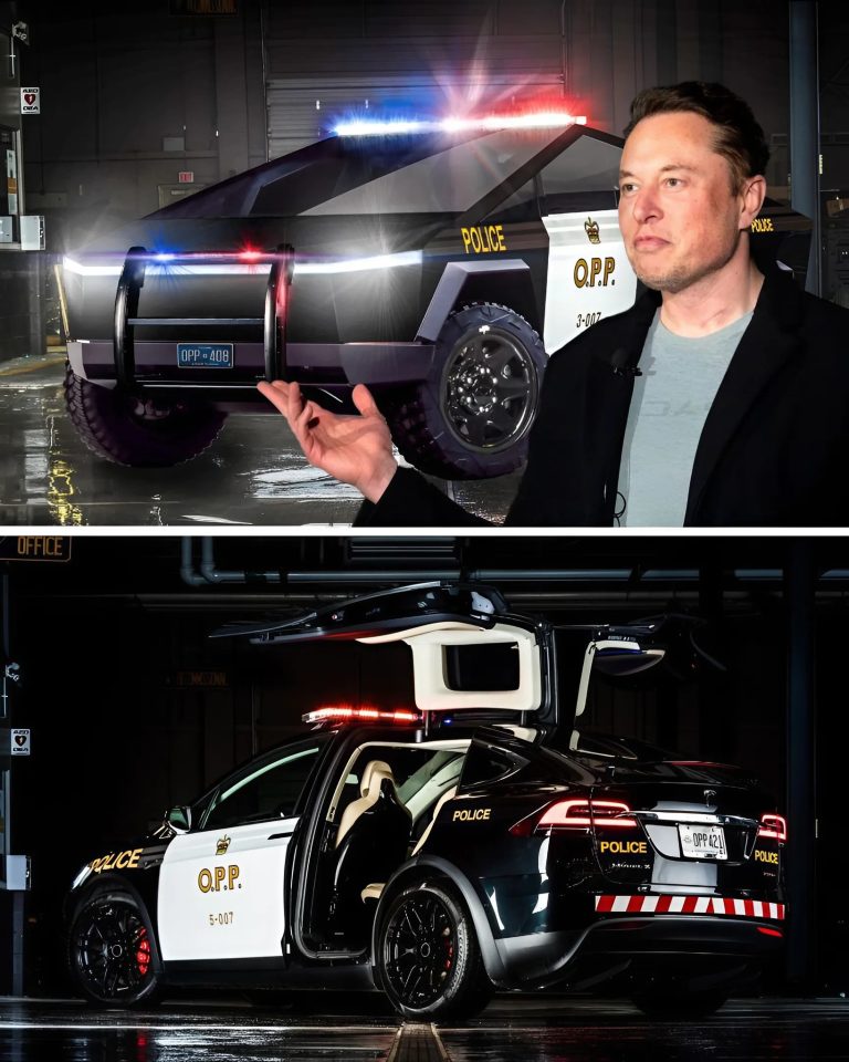 Elon Musk fue elegido para sugerir que el Tesla Cybertruck se utilizará ...