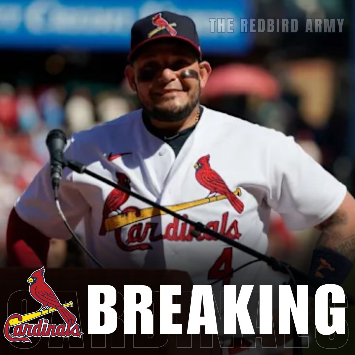 BREAKING: Cardinals Welcome Back Legendary Figure as Bench Coach — A ...